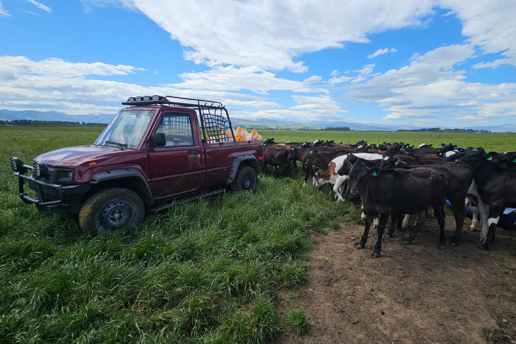 Pickman P-MAX 4X4 - Pickman NZ