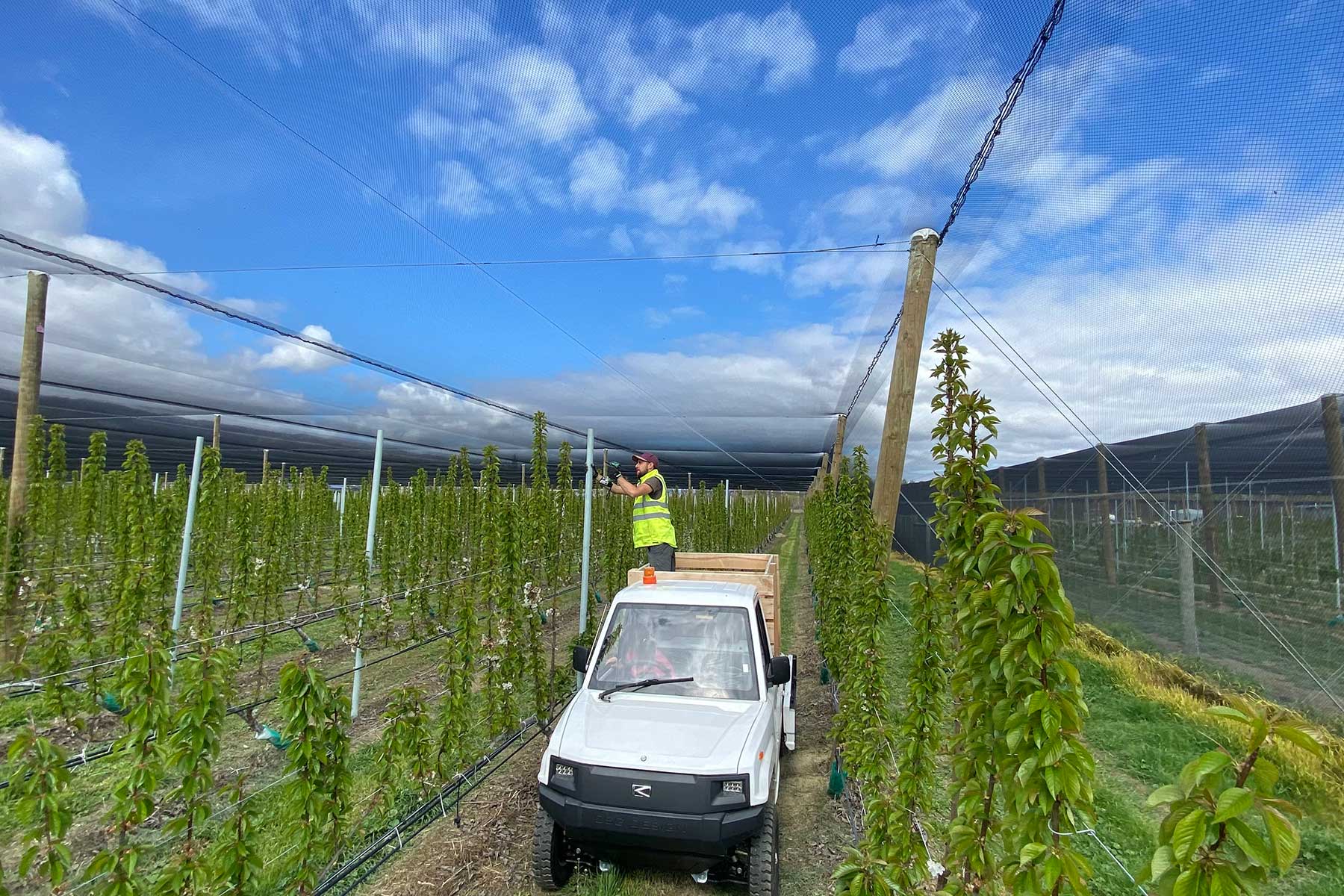 Pickman Pic-up 2x4 - Pickman NZ